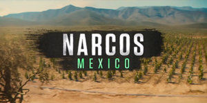 Lessons in Leadership: Narcos Mexico - Laurissa Doonan Consulting ...